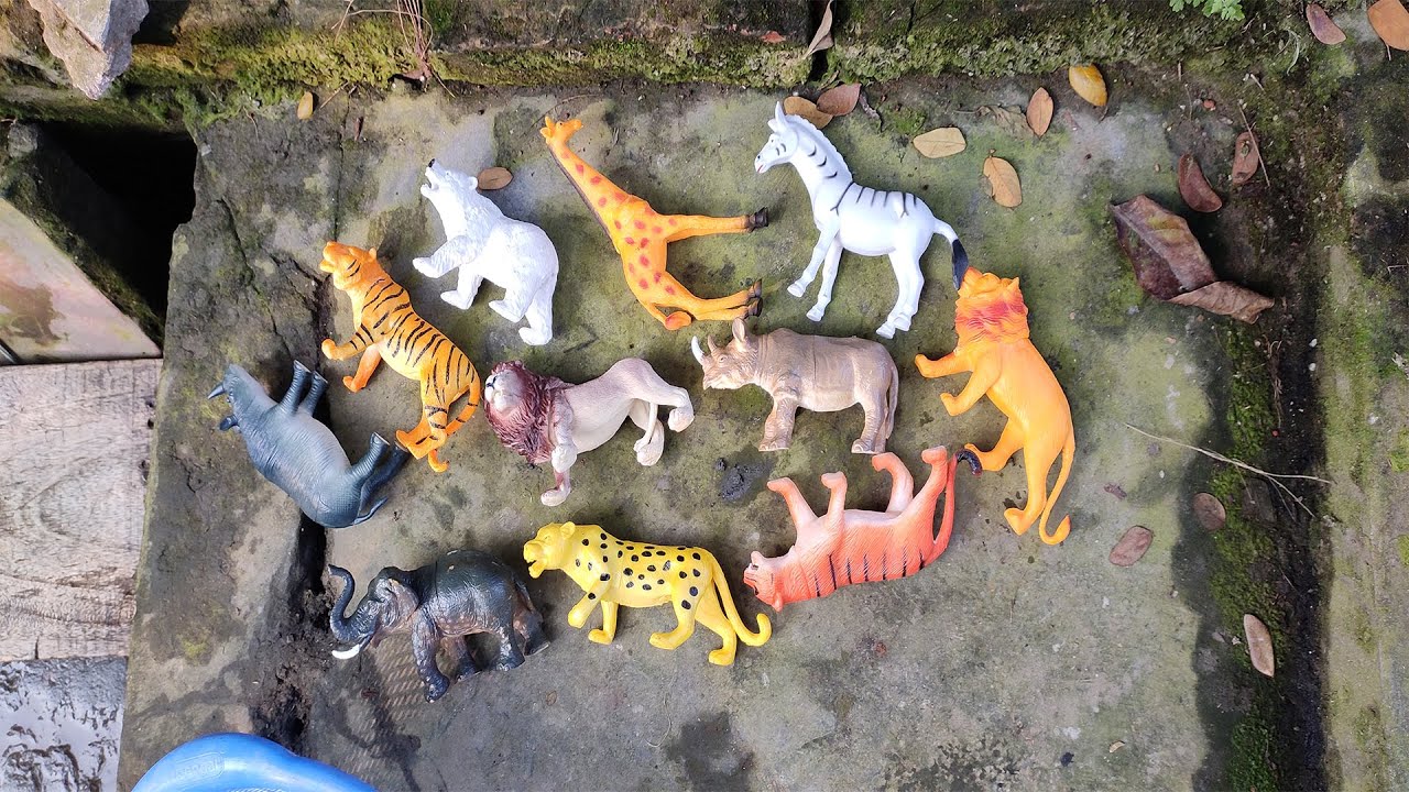 zoo animals video tiger | leopard,elephant,polar bear,ziraff,lion,rhino ...