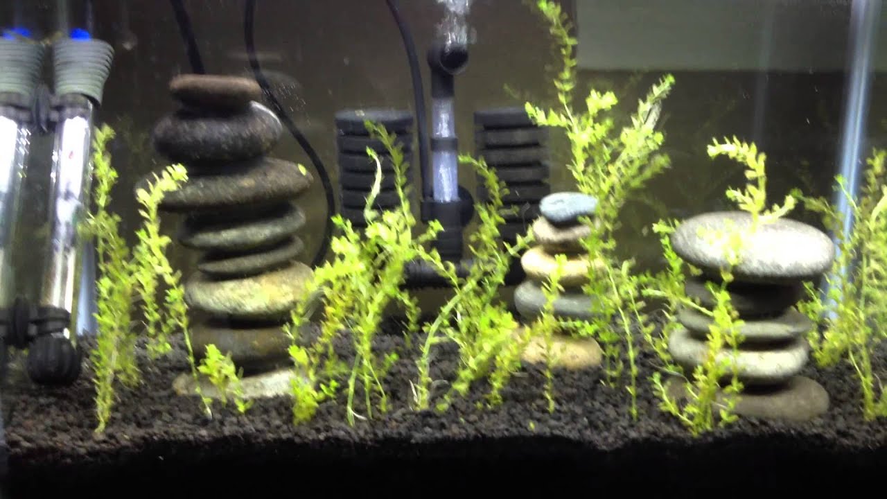 Rockstack Tank3 - YouTube
