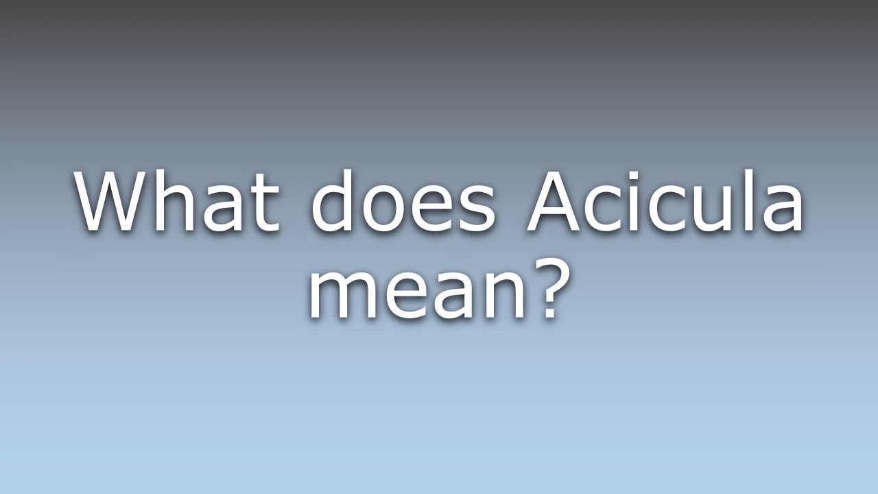 What does Acicula mean? - YouTube