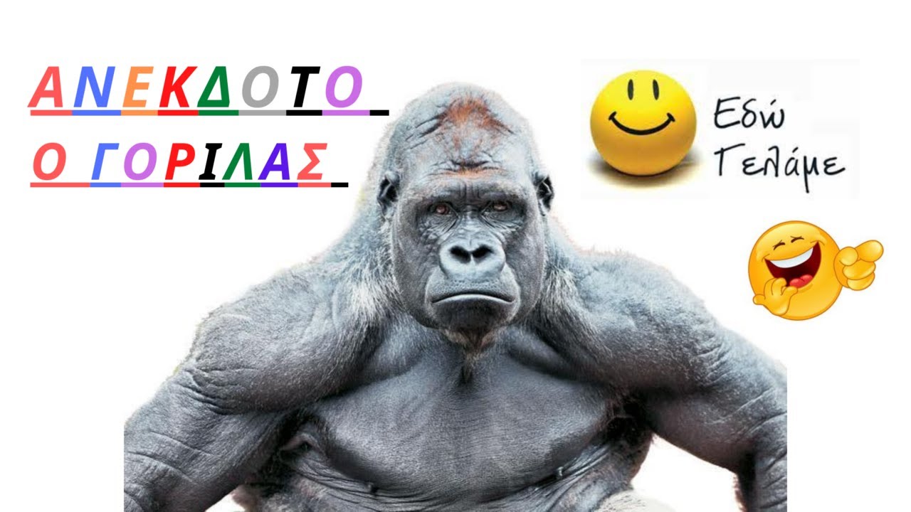 Εδώ Γελάμε Με Τα Καλύτερα Ανέκδοτα «Ο Γορίλας / Gorila» 🤣 - YouTube