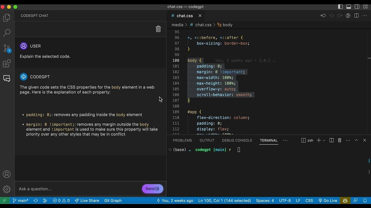 Explain this...CodeGPT - YouTube