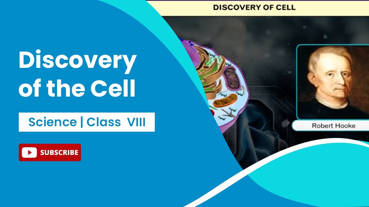 Discovery of the Cell | The Cell | Science Class 8 - Go IT