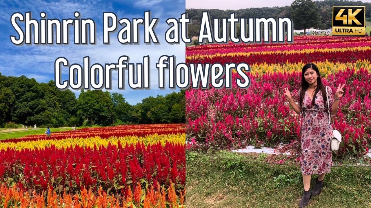 The most beautiful flower garden in Japan : Shinrin koen Park At autumn ...