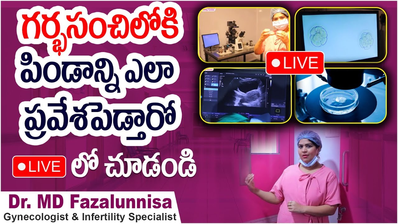 IVF చికిత్స LIVE లో చూడండి || Live🔴 Embryo Transfer Step By Step ...