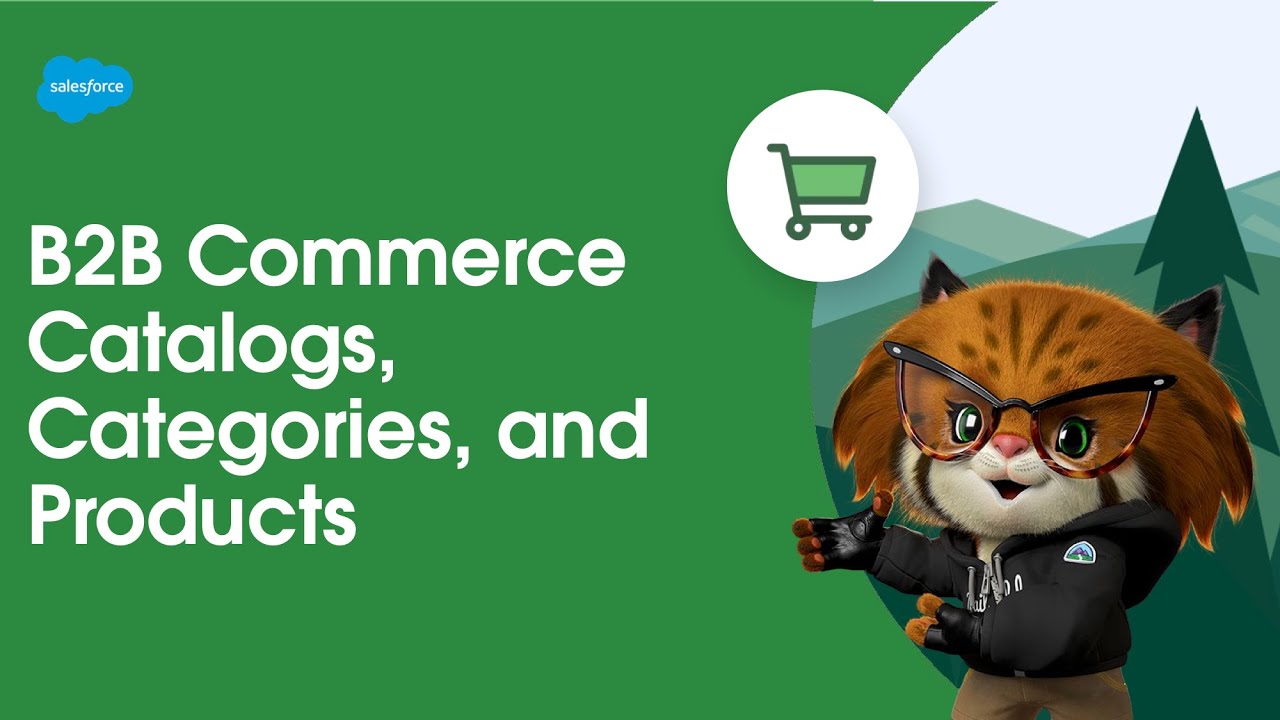 B2B Commerce: Catalogs, Categories, and Products | Expert Coaching - YouTube