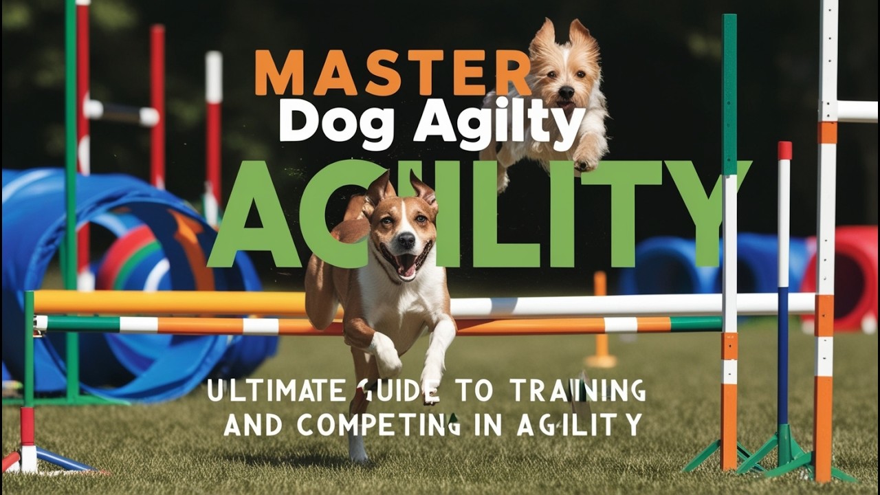 Master Dog Agility: Ultimate Guide to Training and Competing in Agility ...