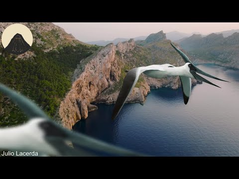 Alles, was wir über Pteranodon (nicht Pterodaktylen) wissen