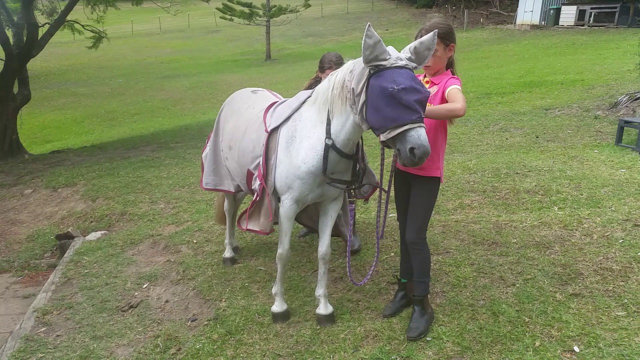 Sparkles - 12hh Pony - YouTube