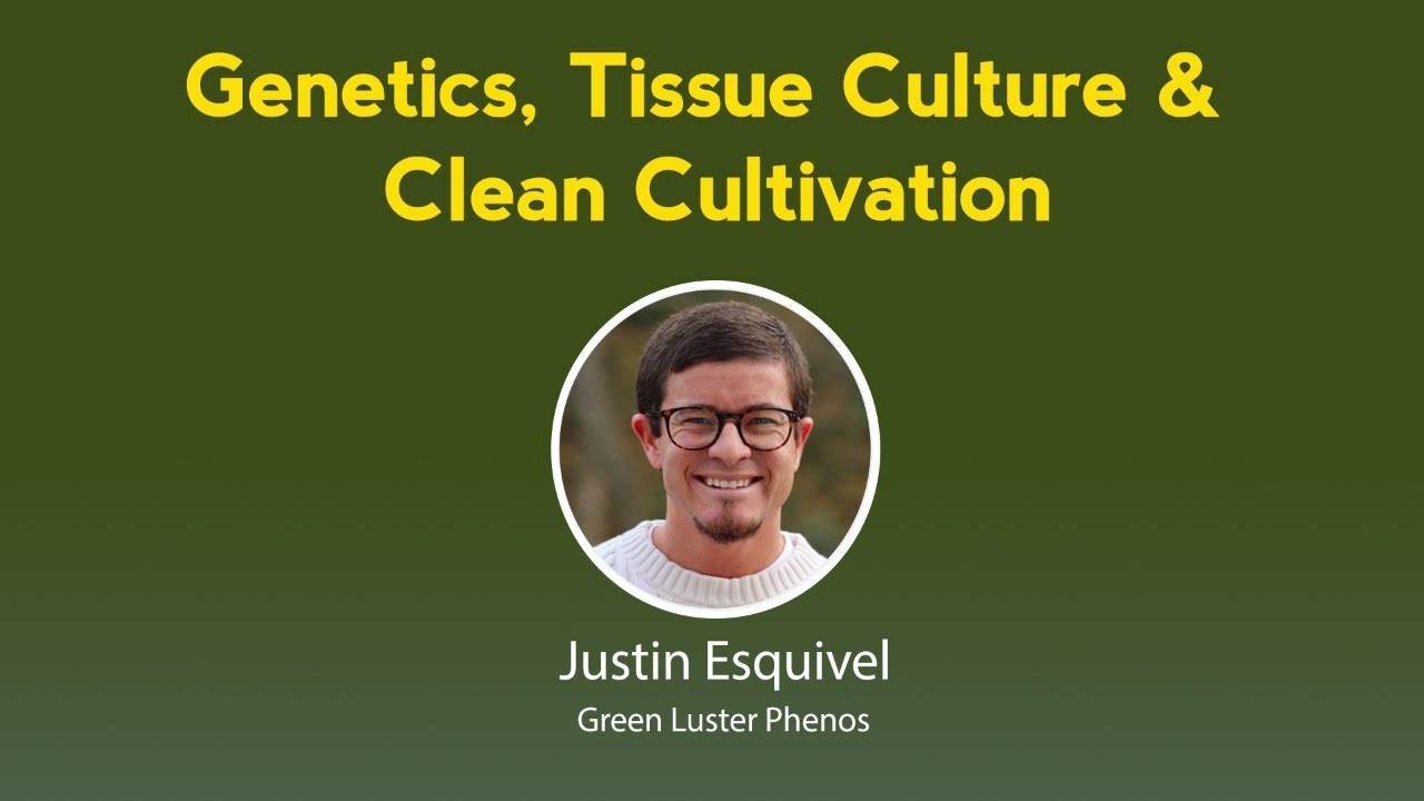 Genetics, Tissue Culture & Clean Cultivation - YouTube