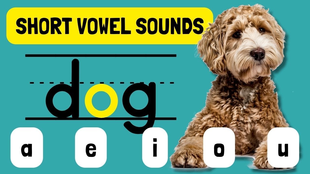 Find the Missing Short Vowel Sounds | a e i o u | Phonics Letter Sounds ...