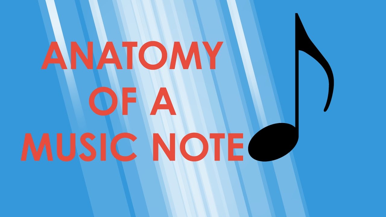 Anatomy of a Music Note - Music Theory Crash Course - YouTube