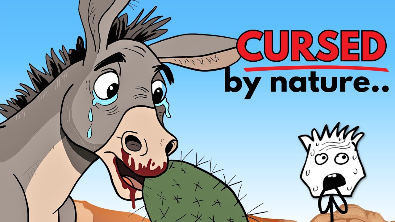 Why it sucks to be born as a donkey - YouTube
