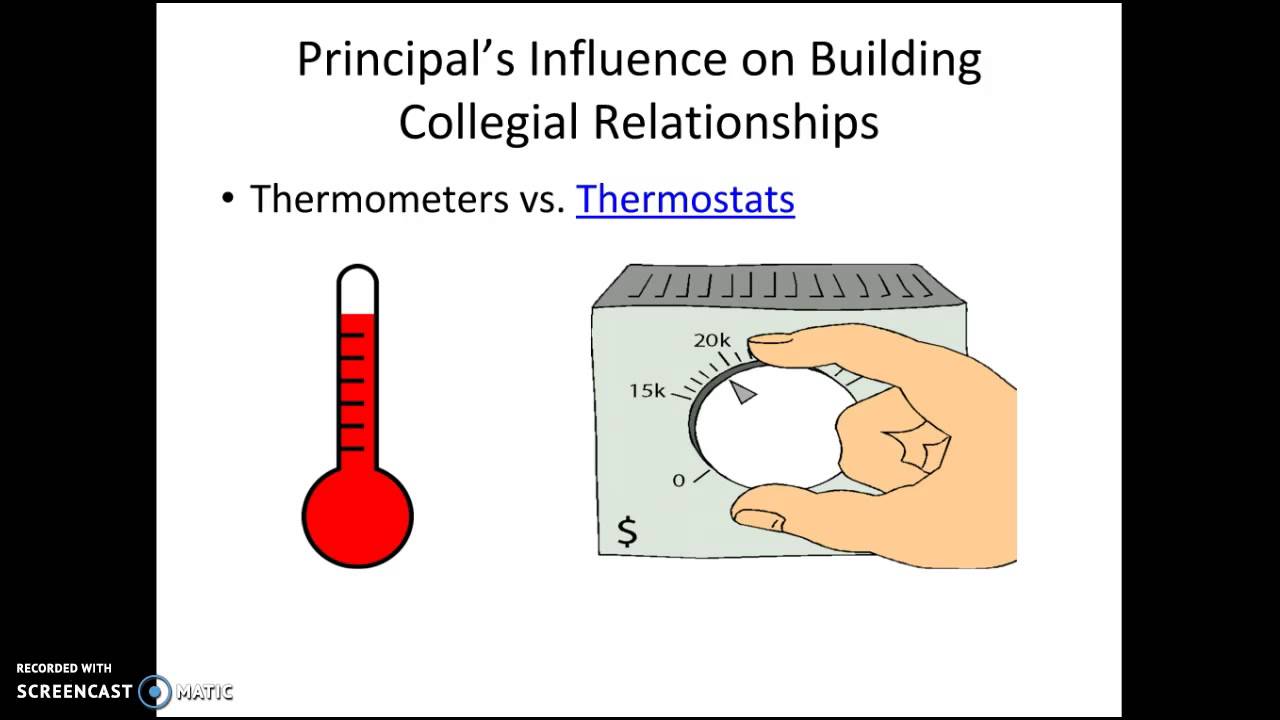 Building Collegial Relationships: The Principal 50 Book Study (Part 2 ...