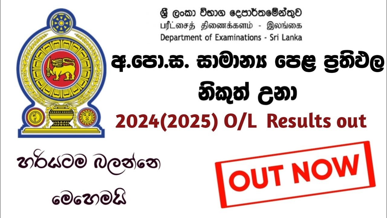 How to watch ol exam results 2024(2025) sinhala | ol results out | o/l ...