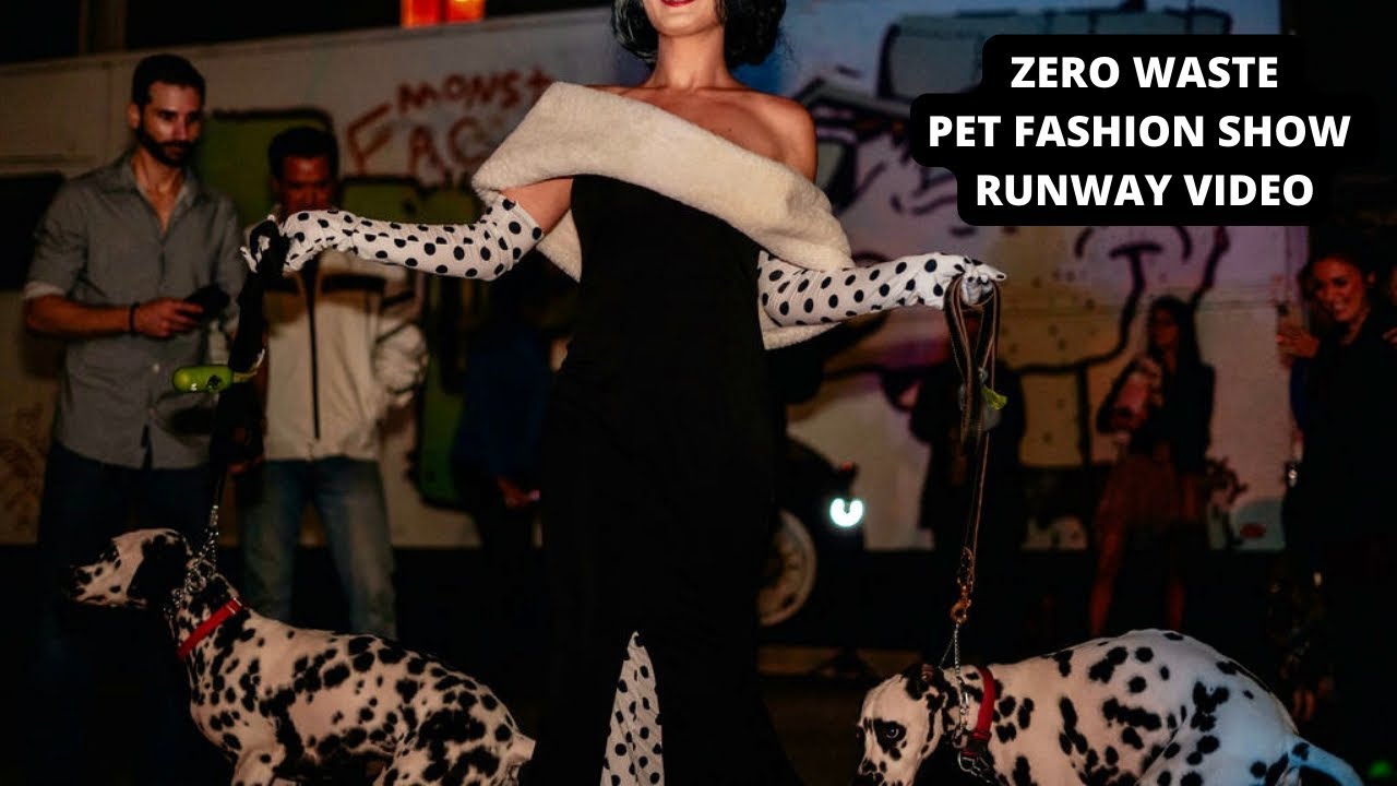 Puppy Love: Pet Fashion Show Runway Video 2022 - YouTube