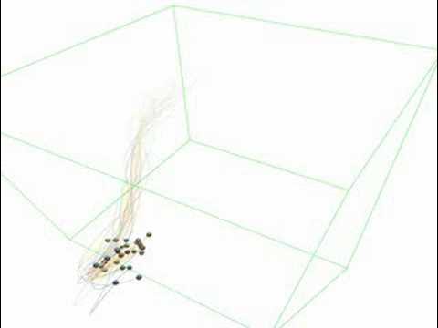 Flocking Boids in Python and OpenGL - YouTube