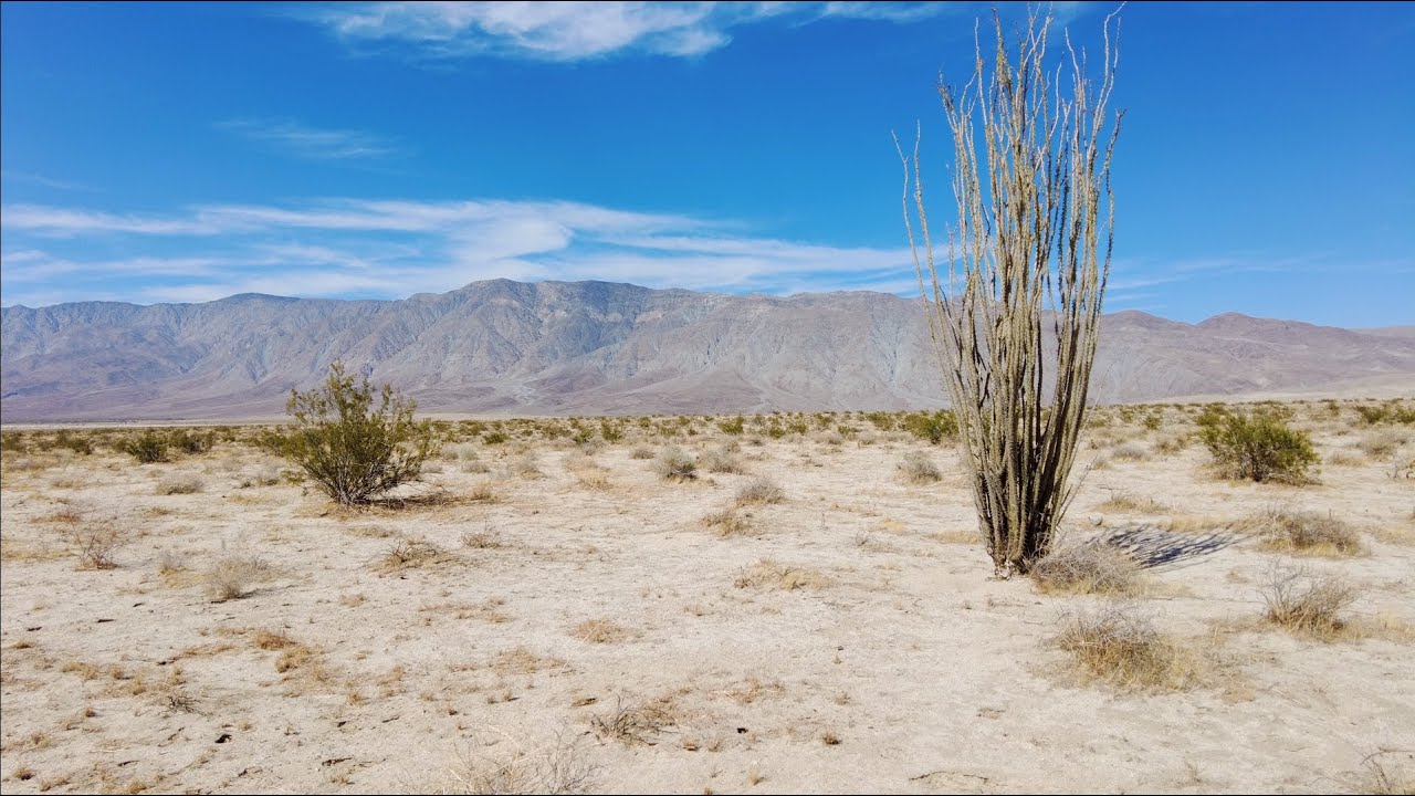 2 HOUR DESERT SOUNDS - Desert Wind Sounds to help you relax, sleep, or ...