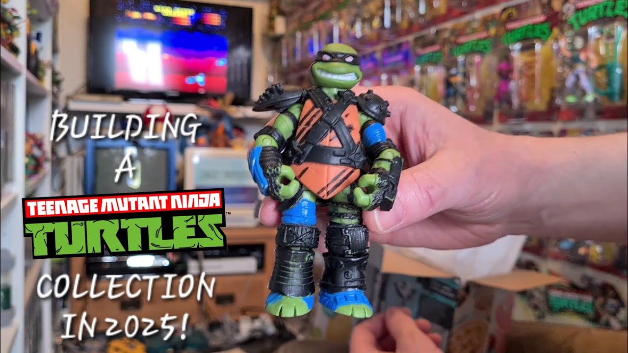 Loose SUPER NINJA TMNT figures! Plus, CARDED 2003 stuff! Building a ...
