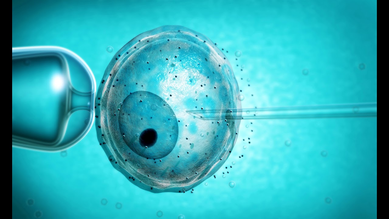 The First Ever CRISPR-Edited Human Embryo - Dr. Shoukhrat Mitalipov ...