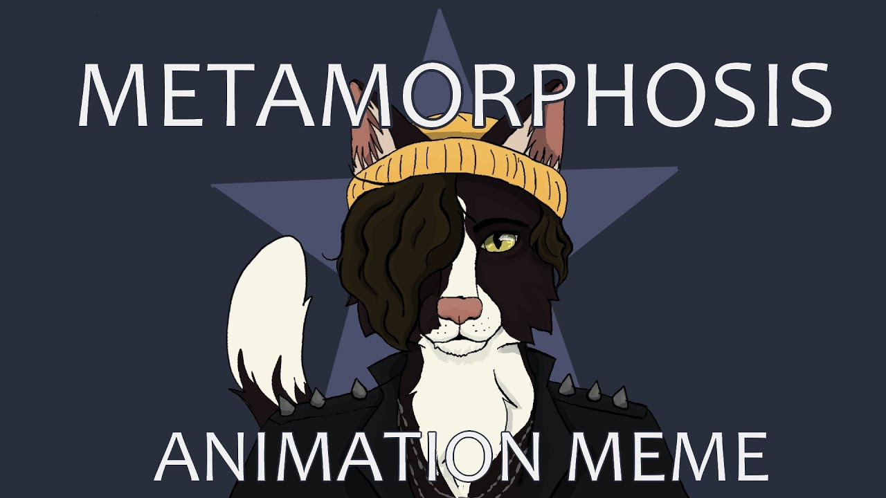 Metamorphosis | Animation meme ☆ New OC ☆ TW: flashing - YouTube