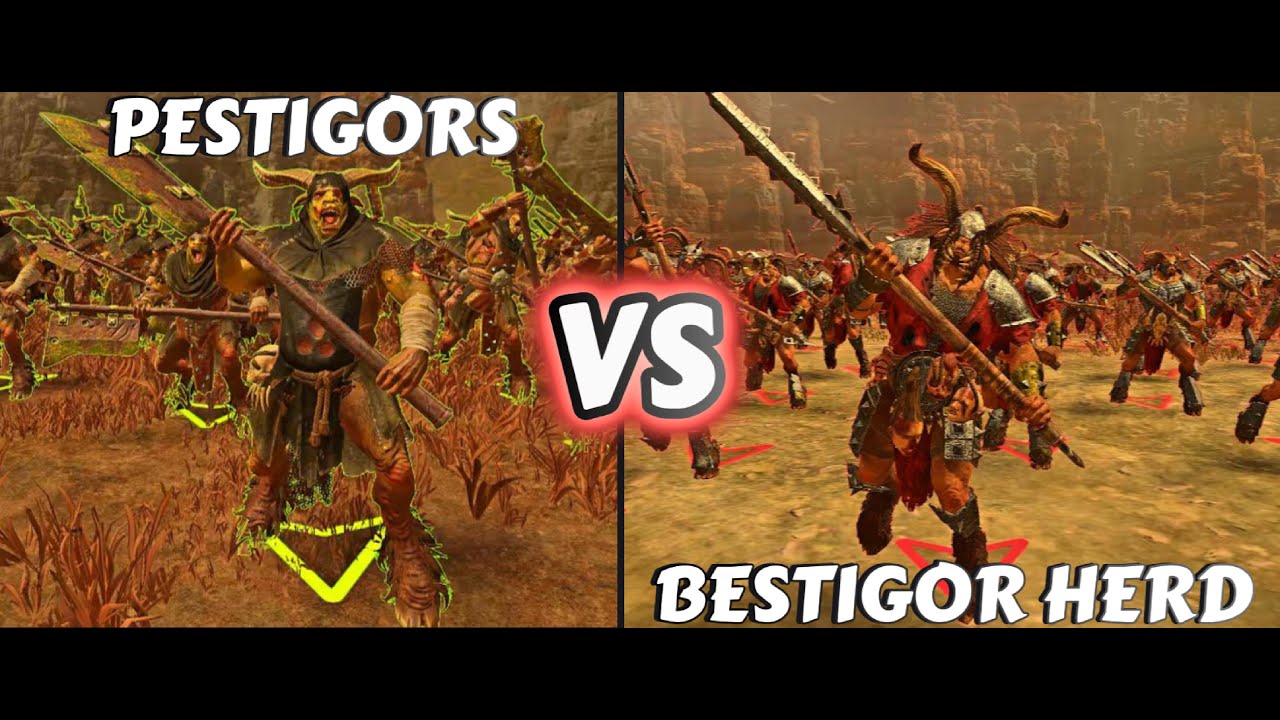Who Will Win? Pestigors or Bestigor Herd in Warhammer Total War 3 ...