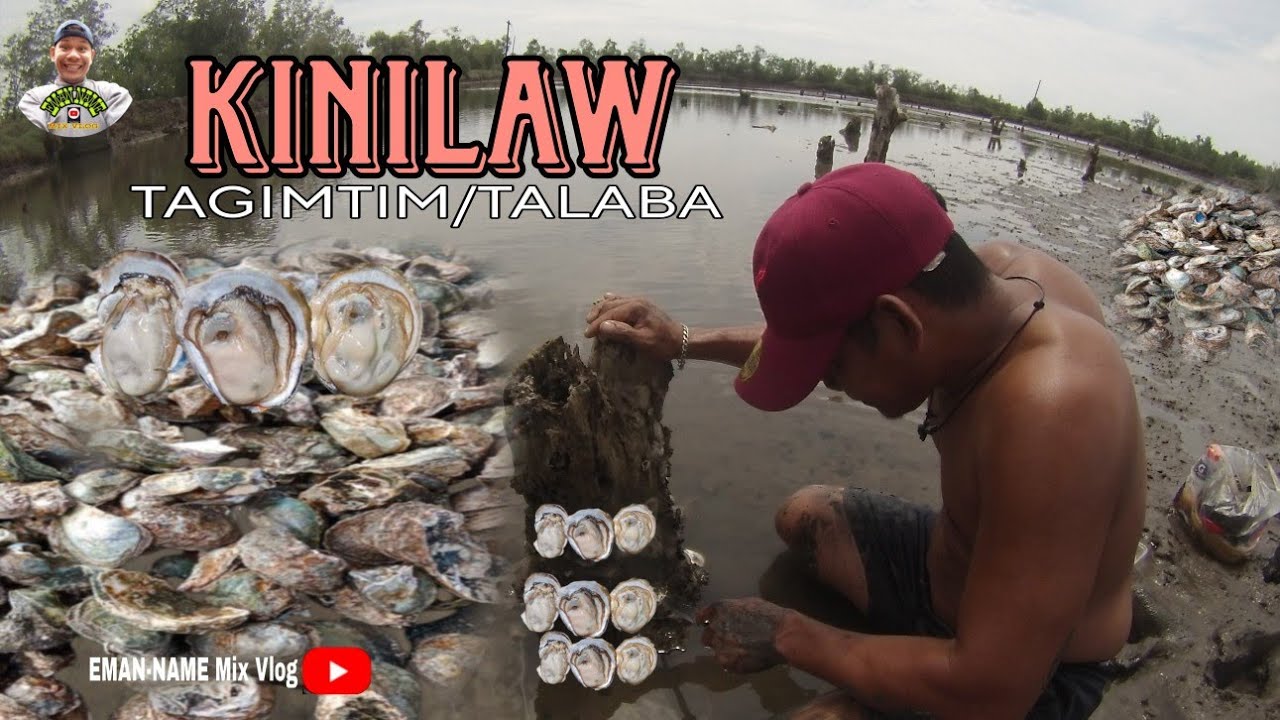 EP; 57 | TAGIMTIM/TALABA | KINILAW | CATCH AND EAT 😋 - YouTube