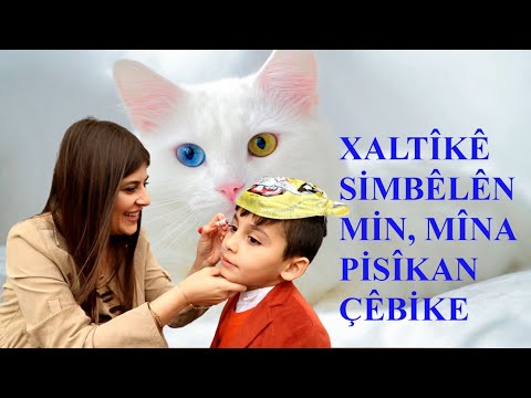 Te dîtiye zarok bûyî pisîk, ka bi çavê xwe bibîne çawan dibe pisîk