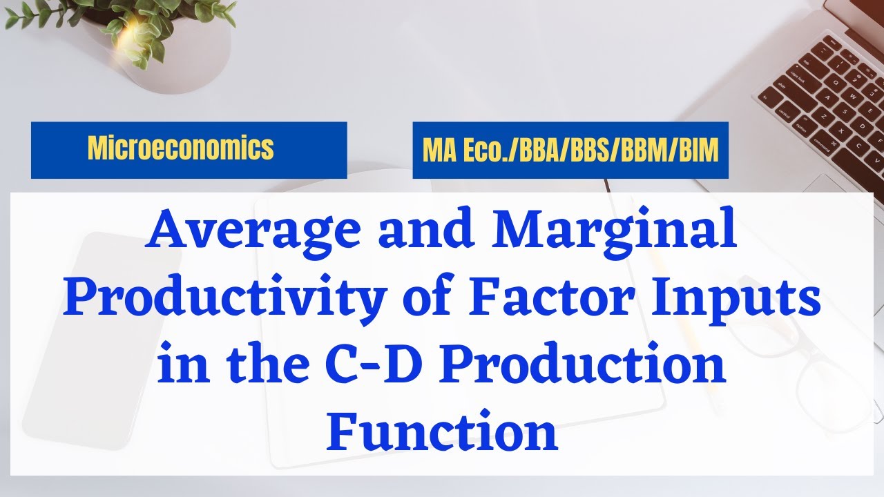 Average and Marginal Product of Factor Inputs in the C-D Production ...