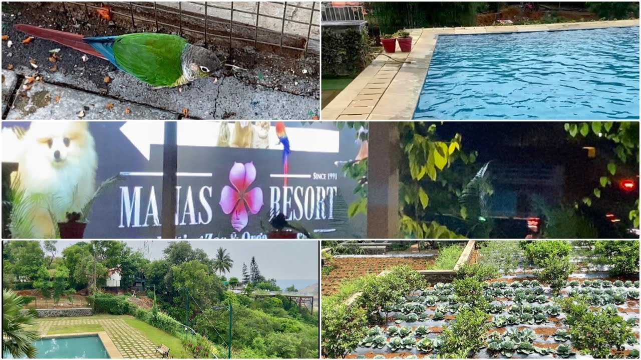 Manas Resort Petting Zoo and Organic Farm | Budget and Kids Friendly ...
