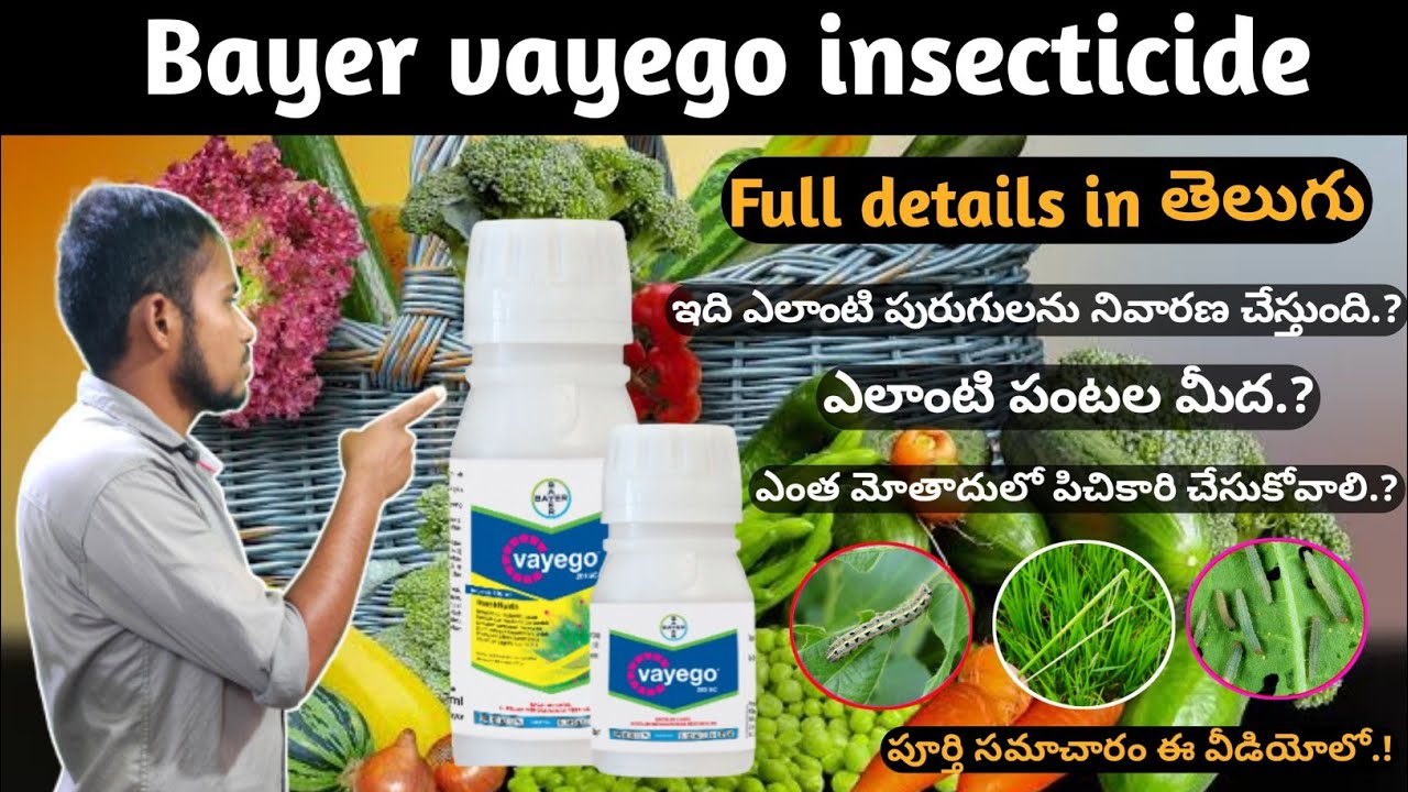bayer vayego full details in telugu |tetraniliprole use in crops - YouTube