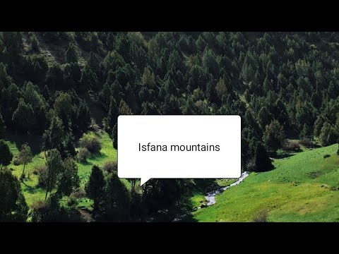 Isfana tog'lari🏔🌲    #mountains #isfana #mountain #shorts