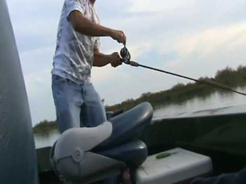 Bass fishing in Guerrero Lake - YouTube