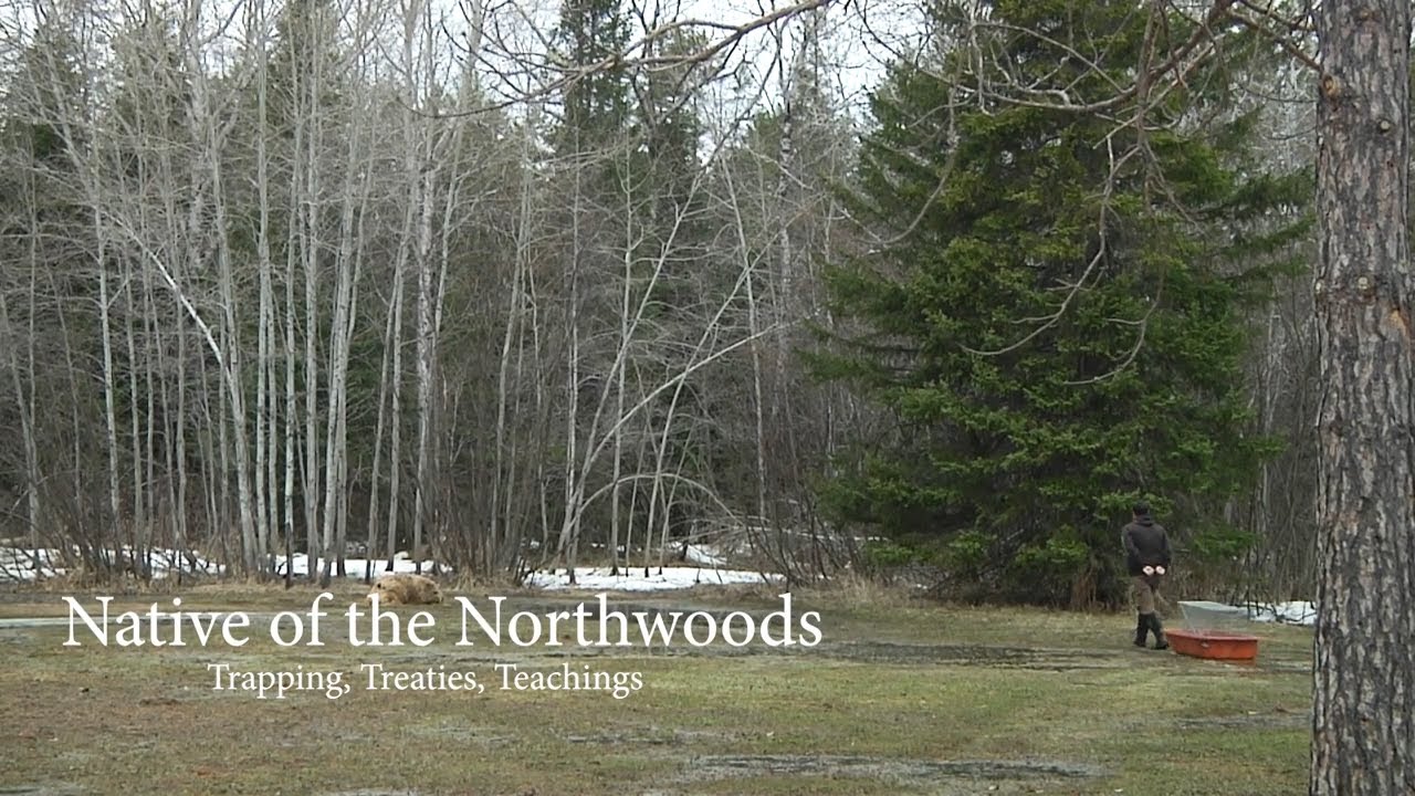 Native of the Northwoods - Documentary Short - YouTube