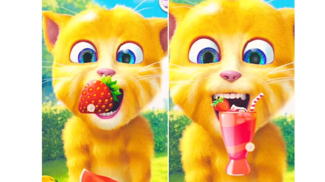 talking ginger eating strawberries and drink strawberry juice #funny # ...