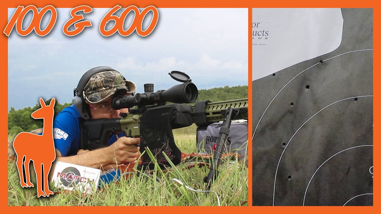 6mm ARC Accuracy at 100 and 600 Yards – CMMG Endeavor 300 | ARO News