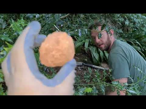 World class potato stones found on this trip😍 @UK Gem Hunters - YouTube