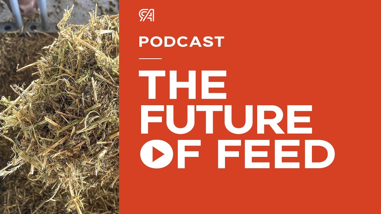 Podcast Conversation Series: The Future of Feed Resources for Cow-Calf ...