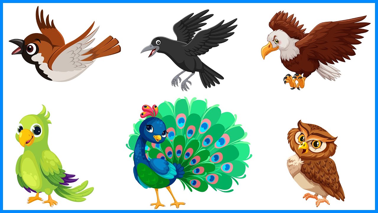 Learn Birds Name | Kids Education | Preschool Learning Videos for ...
