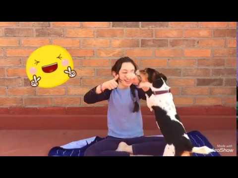 YOGA CHALLENGE . HAZ YOGA CON TU PERRO  🐩SUPER EXTREMO . YOGA PARA NIÑOS