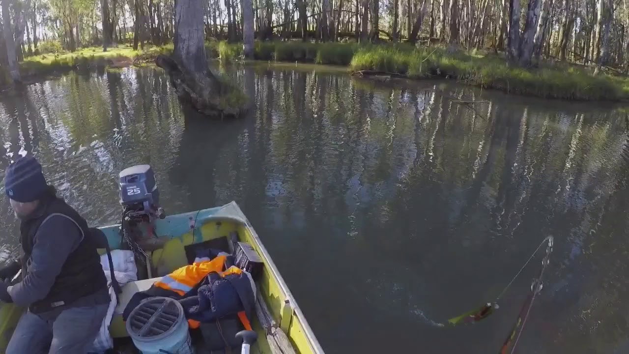 Fishing Ovens River , Bundalong 🎣🎣🎣 - YouTube