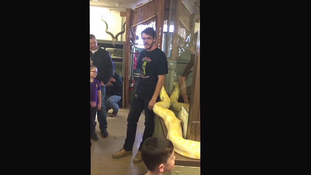 Cool Bernese python at animal world and snake farm - YouTube