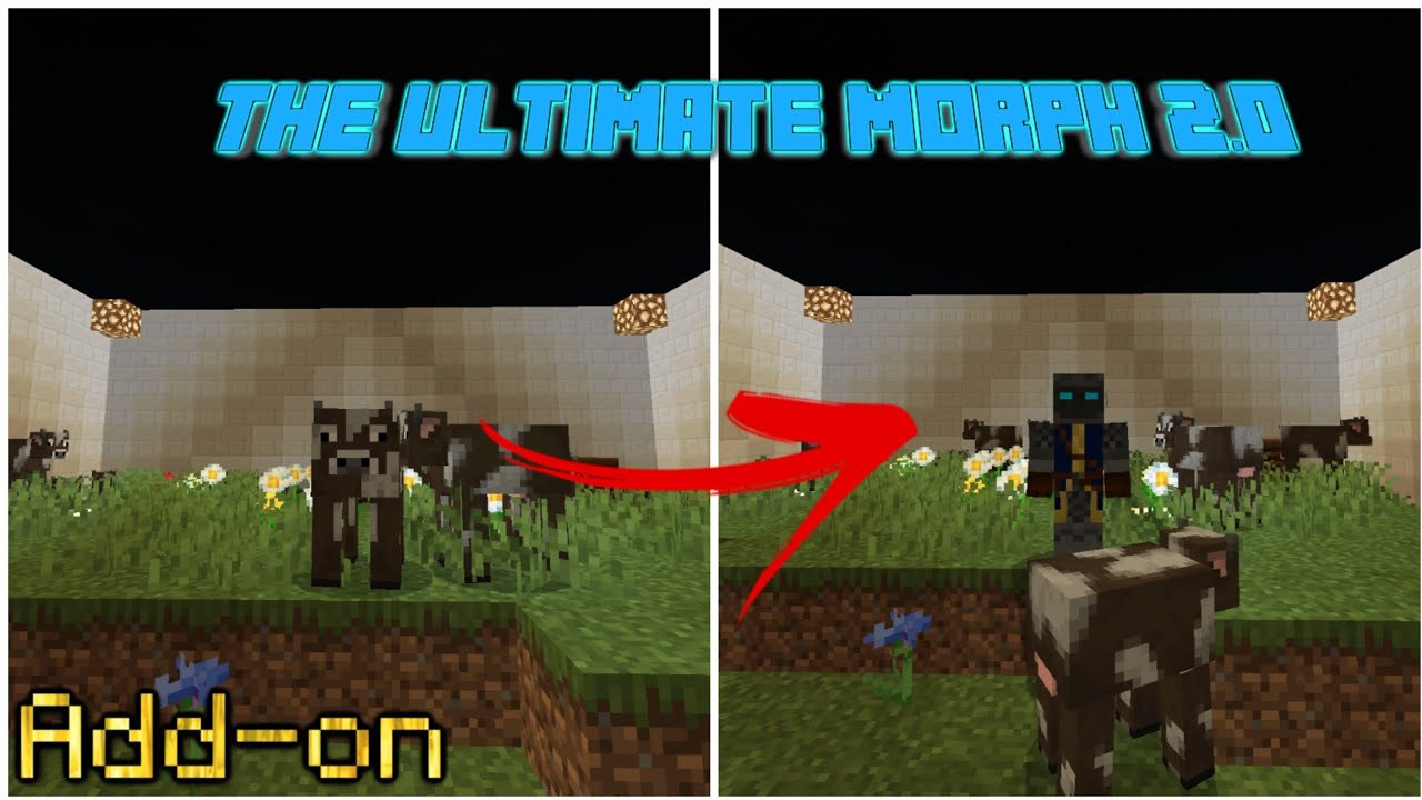 Addon/Mod The Ultimate Morph 2.0 Minecraft Bedrock/PE - YouTube