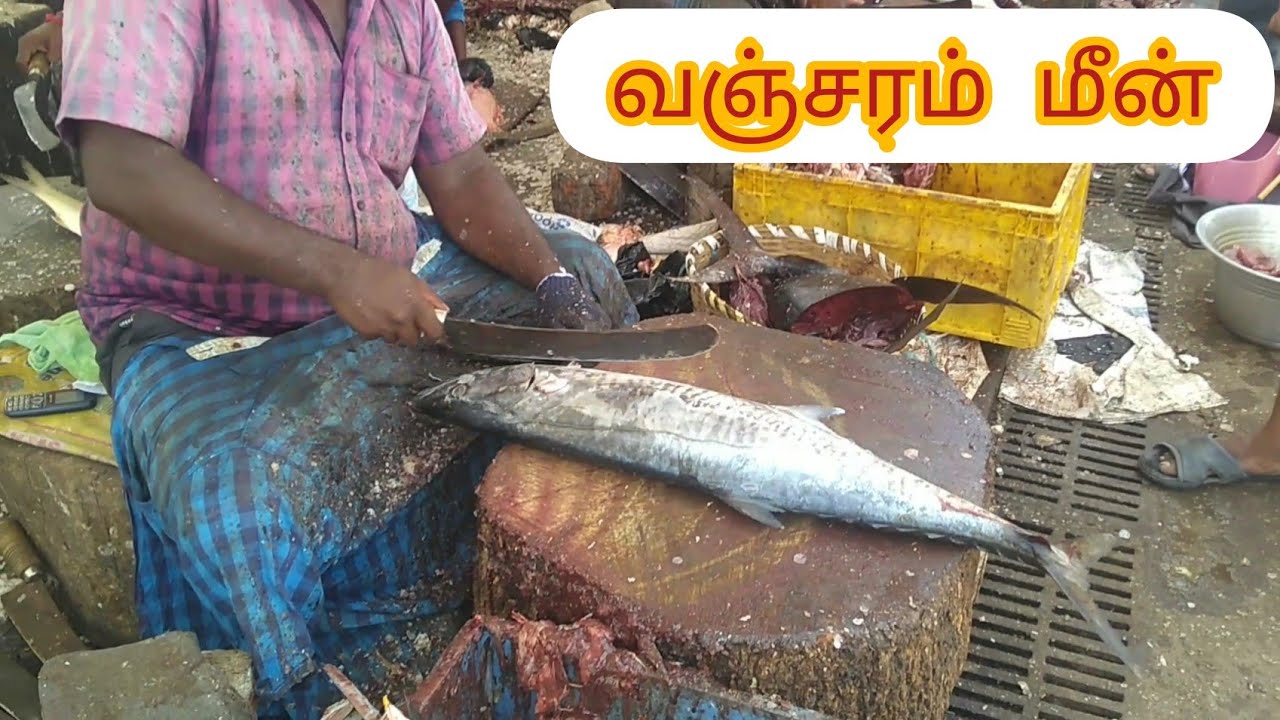 KASI MEDU/Vanjaram Fish Cutting In Indian Market/Seer Fish Cutting/King ...