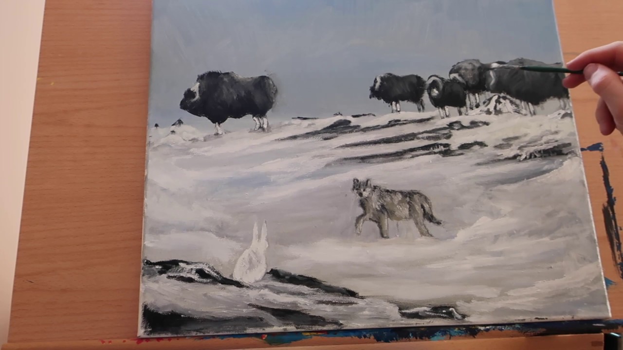 Arctic Musk Ox Painting - YouTube