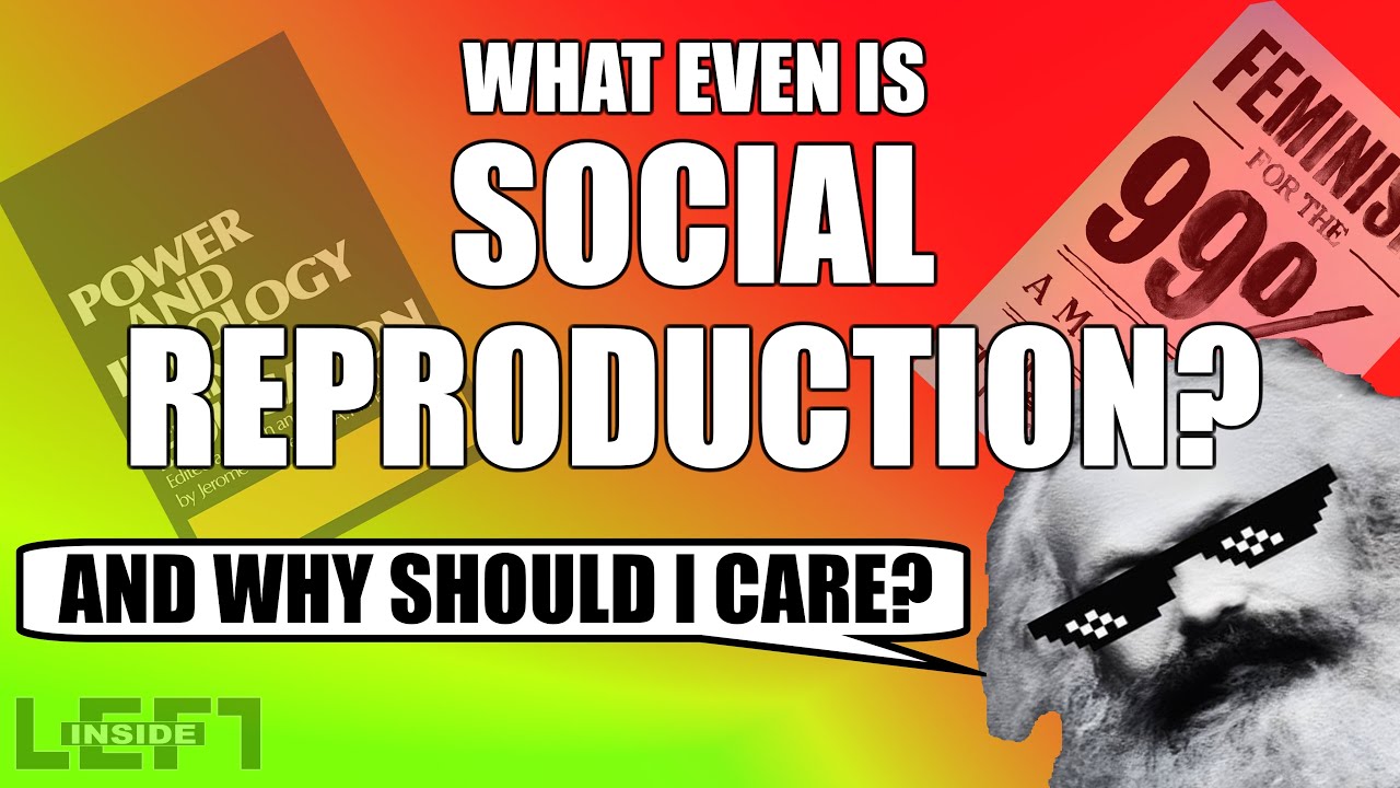 What Even Is Social Reproduction? And Why Should I Care? #politics # ...