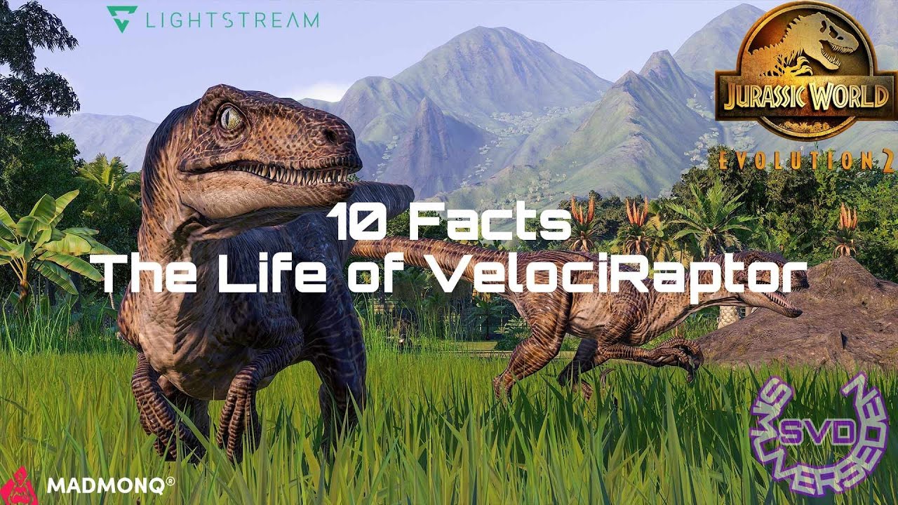 VelociRaptor 10 Unknow Facts - Jurassic Park Evolution 2 - YouTube