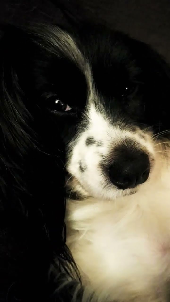 no son como antes jajaja 😂🤣 - YouTube