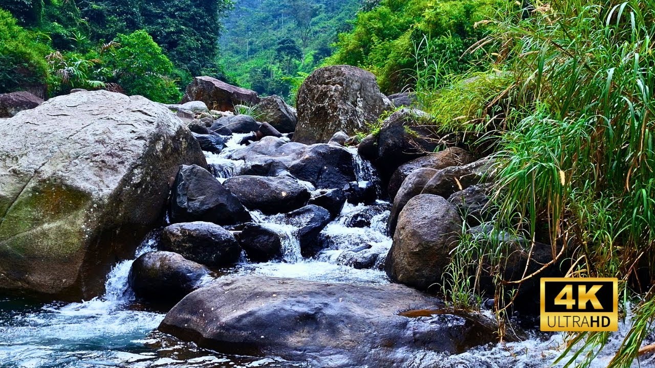 Relaxing 4K Forest Waterfall - Gentle Water Flow and White Noise for ...