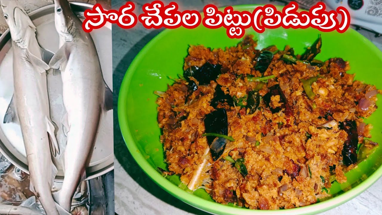 #sharkfish ||sora pittu ||సొర చేపల పిడుపు ||సొర పిట్టు ఇలా చేసి పెడితే ...