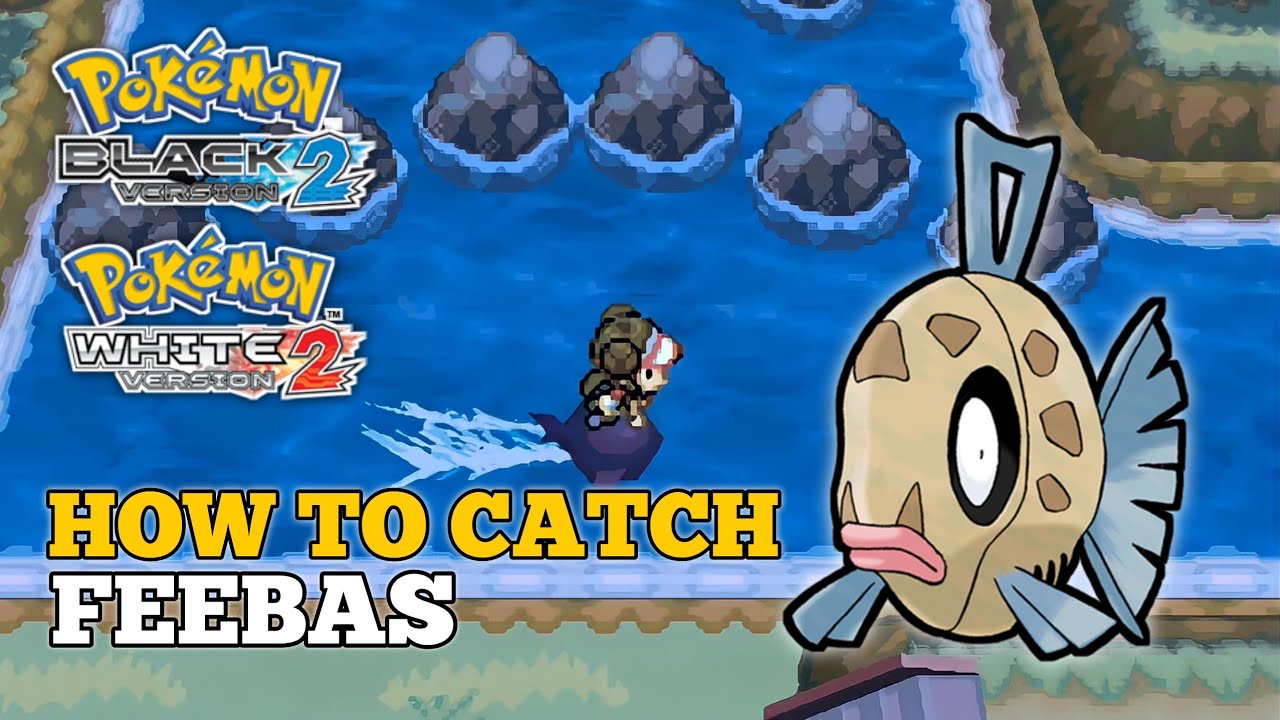 How To Catch Feebas In Pokemon Black 2 and White 2 | Feebas Location - YouTube
